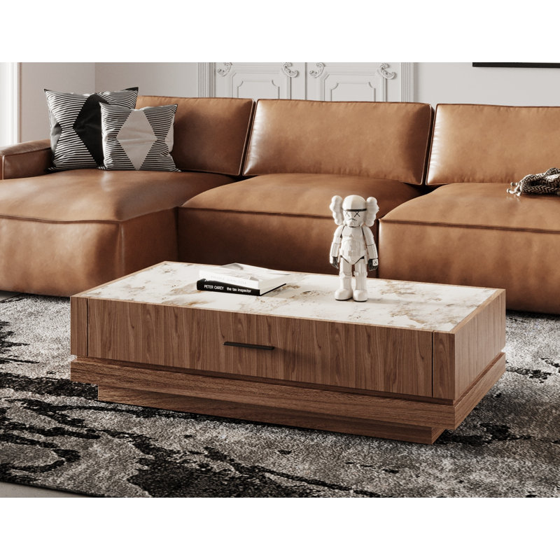 Modern walnut living room furniture store